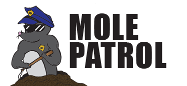 Thank you | Mole Patrol